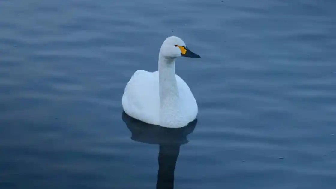 How to Add WeChat Friend: 2025 Tips for US Students in China | XunYouGu